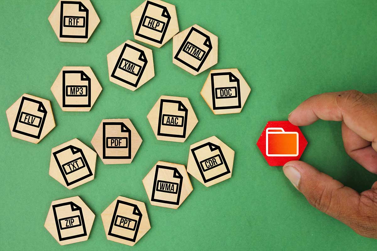 Types et formats de fichiers : un guide complet